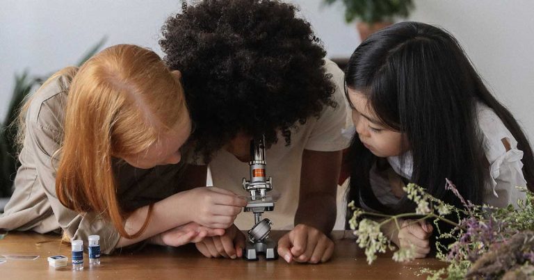 Research and Reports | Allies for Children